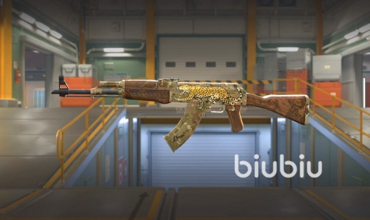 csgo2卡顿需要开加速器吗 好用的csgo2加速器使用推荐_biubiu加速器