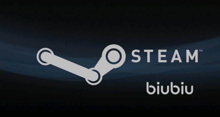 steam商店加速器哪个好 steam商店加速器推荐_biubiu加速器