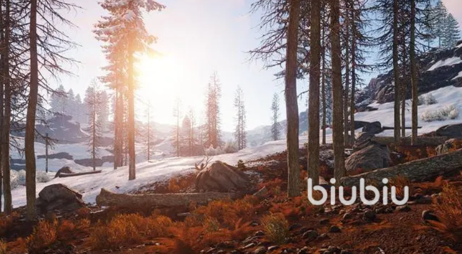 rust需要加速器吗 rust免费加速器分享_biubiu加速器