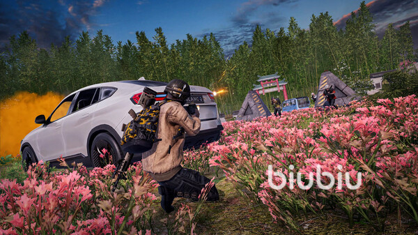 pubg进入游戏闪退如何修复 pubg加速器推荐_biubiu加速器