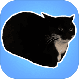 Maxwell The Cat加速器_Maxwell The Cat加速器免费下载_biubiu加速器