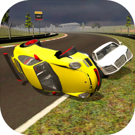 Rage Racing Simulator加速器_Rage Racing Simulator加速器免费下载_biubiu加速器
